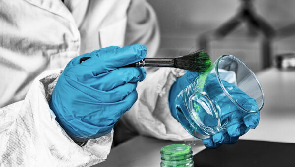 What Is a Forensic Examiner? - Excelsior University