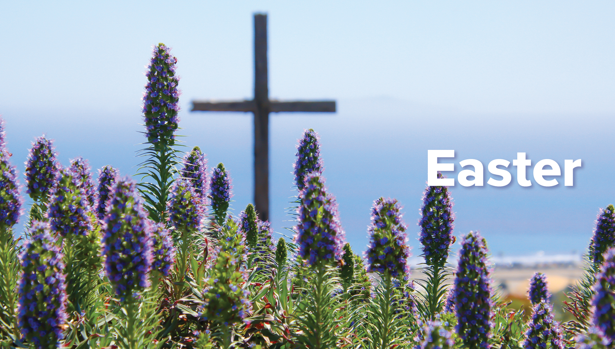 Easter - Excelsior University